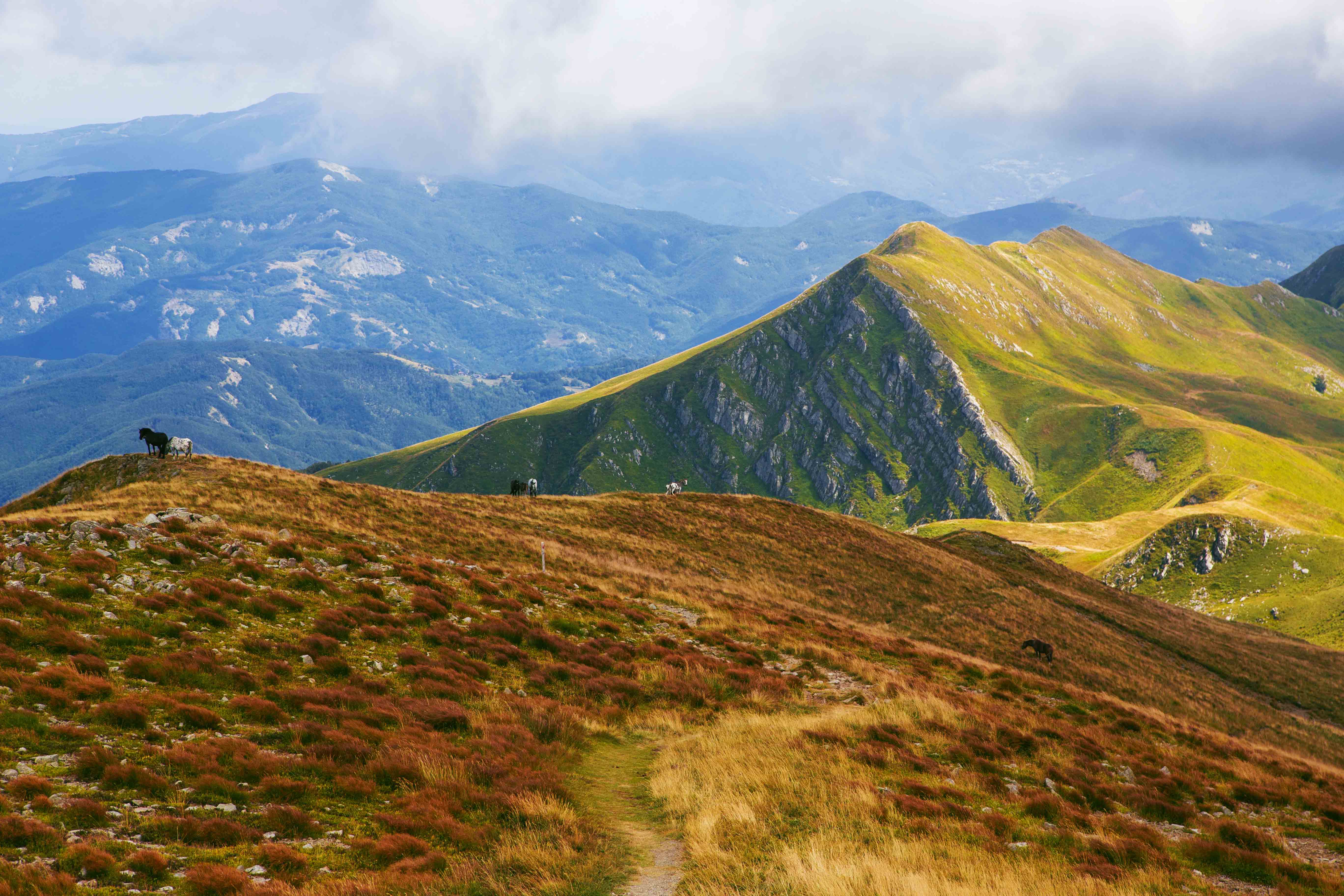 Humans of Parco Appennino – Storie dalla comunità di Parco Appennino ...